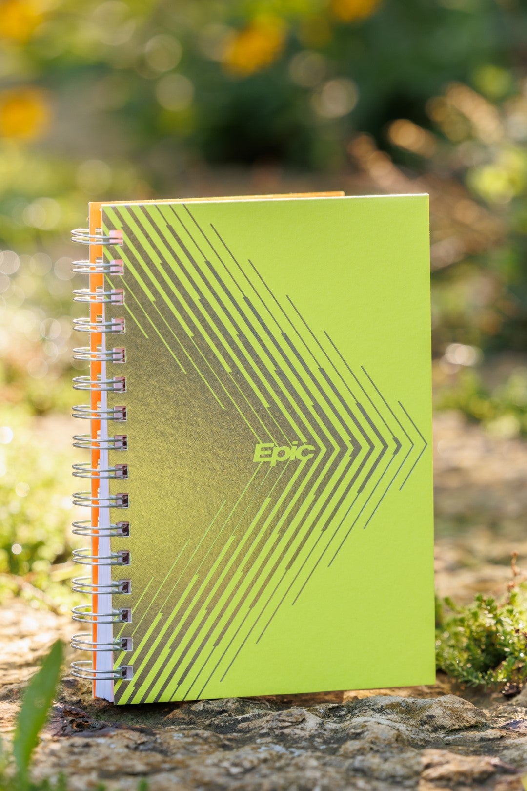 XGM 2025 Notebook | Epic Store