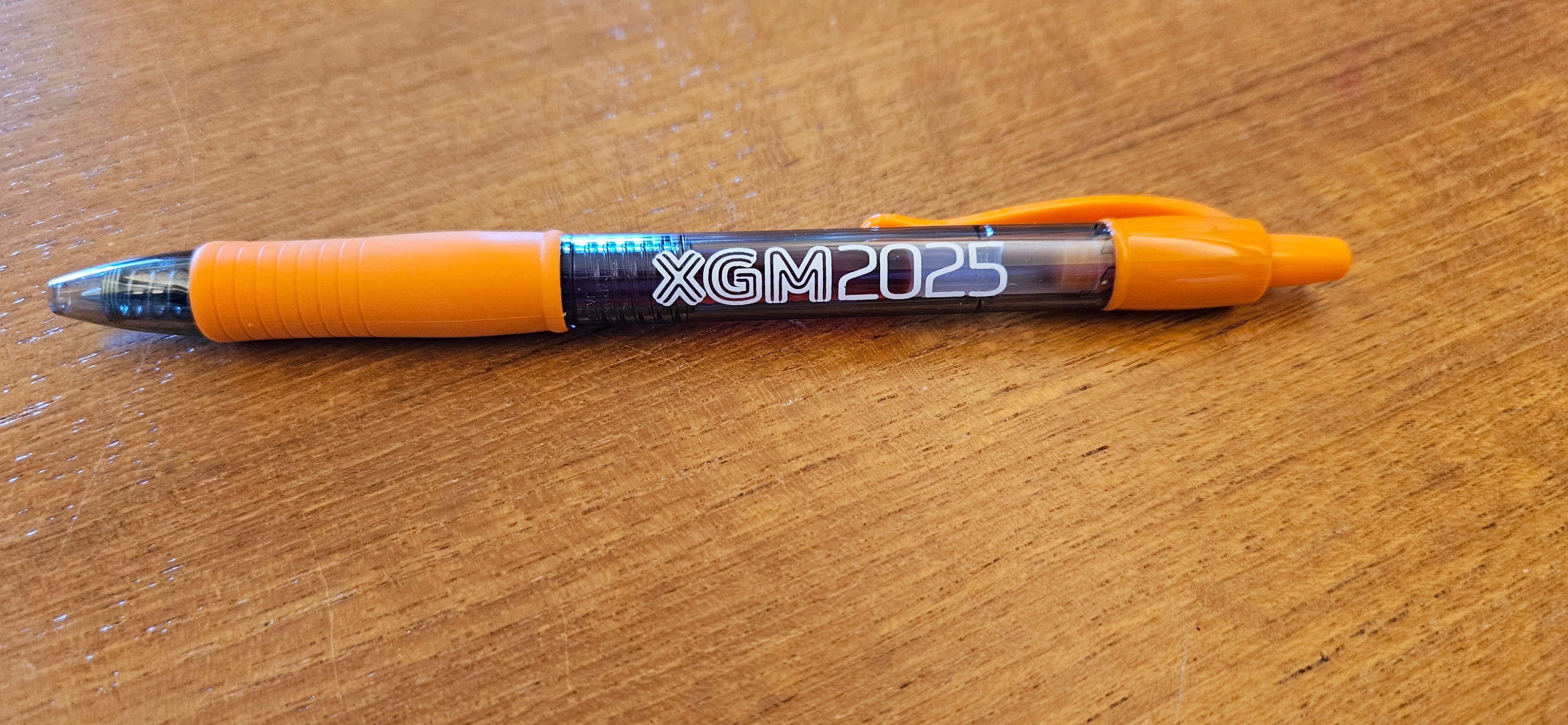 XGM 2025 Pen | Epic Store